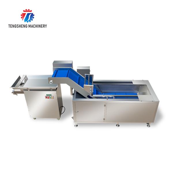 Quality Industrial Ground Meat Production Line Kitchen Food Processor for sale