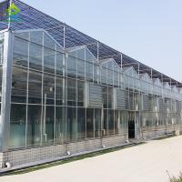 Quality Venlo Commercial Polycarbonate PC Sheet Agricultural Large Tunnel Greenhouse for sale