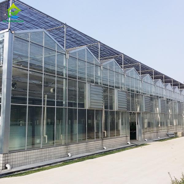 Quality Venlo Commercial Polycarbonate PC Sheet Agricultural Large Tunnel Greenhouse for sale