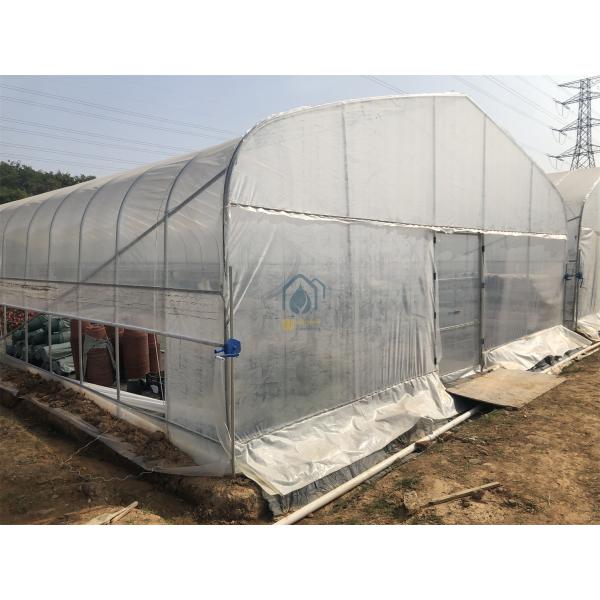 Quality PE PO Plastic Film Roll Up Greenhouse Vents Tunnel Green Houses For Agriculture for sale