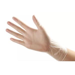 Quality PVC Powder Free Disposable Vinyl Gloves For Foodservice for sale