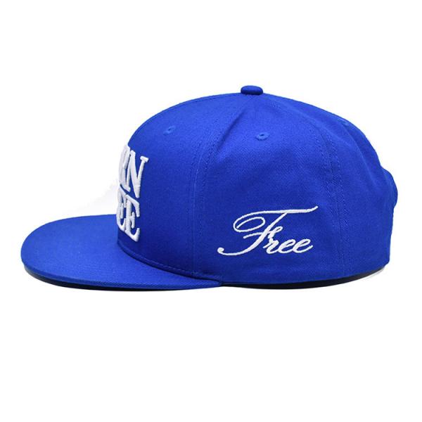 Quality BSCI Factory Custom Hat Snapback 3d Embroidery Snap Back Caps for sale