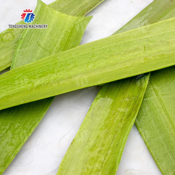 Quality Aloe peeling machine processing production Peeling Machine for sale