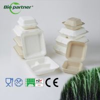 Quality 100% Compostable Biodegradable Takeaway Disposable Food Container Clamshell Food for sale