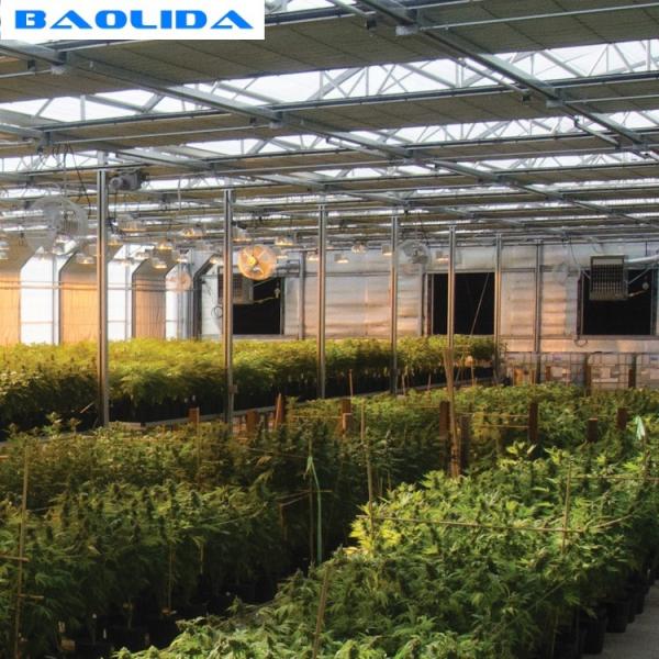 Quality Greenhouse Blackout Curtain Systems Automated Light Deprivation 8m - 12m for sale