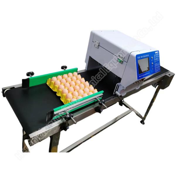 Quality Computer Control Egg Processing Machine Inkjet Date Printing 50000pcs/H ODM for sale