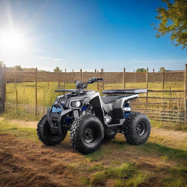 Quality Powerful 200cc Gas ATV for Adults Maximum Torque of 40-60Nm and Top Speed of 75km/h for sale
