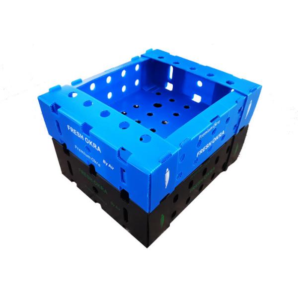 Quality 11lbs Fresh Okra PP Corrugated Plastic Packaging for sale