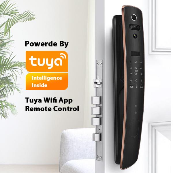 Quality 3D Face Digital Tuya Smart Lock RFID Fingerprint Access Control Aluminum Alloy for sale