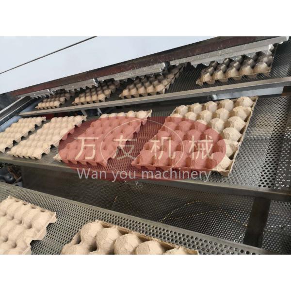 Quality Manufacturer Disposable Paper Molded Dry Fruit Tray Egg Tray Equipment for sale