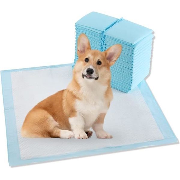 Quality Extra Large Disposable Dog Pads 56x56cm for Everyday Season Potty Training for sale