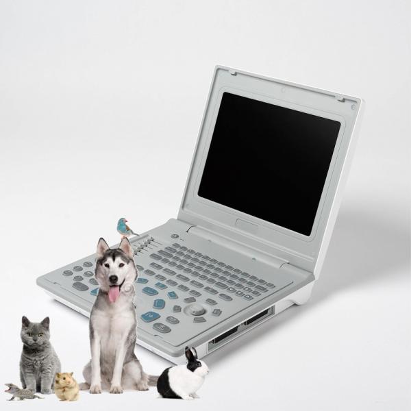 Quality Hospital Outside Diagnostic Linear Ultrasound Machine Dog Ultrasound Machine for sale