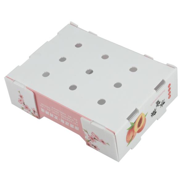 Quality White Rectangular Plastic Corrugated Box Fruit Vegetable Gift Packing Corrugated for sale