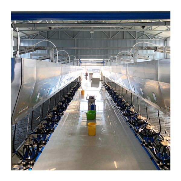Quality Digital Metering 220v 10 Unit Milking Parlour Herringbone Type for sale
