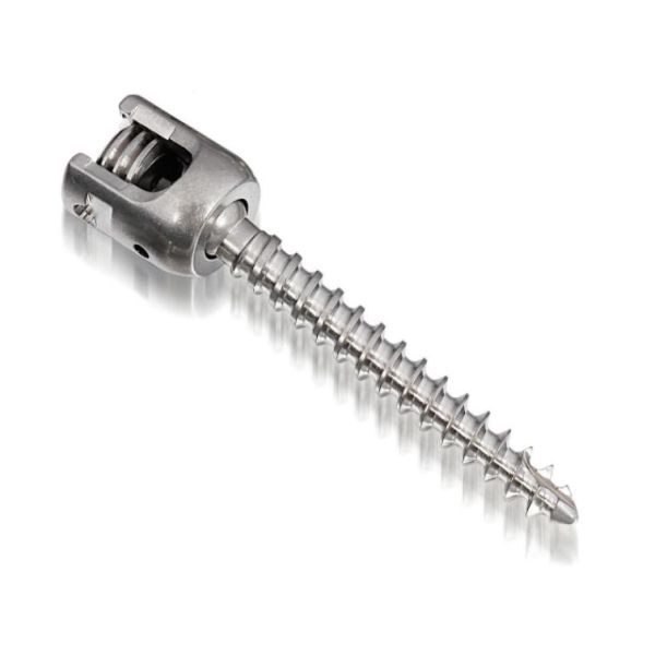 Quality 6.0mm Posterior Polyaxial Pedicle Screw Orthopedic Spinal Pedicle Screw Single Double Thread for sale
