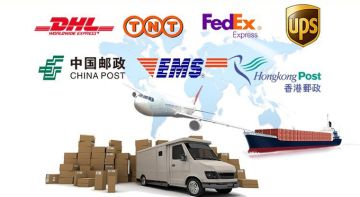 Biolight Direct-Connect Holter ECG Cable For 3 or 5 Lead Snap Connector 6