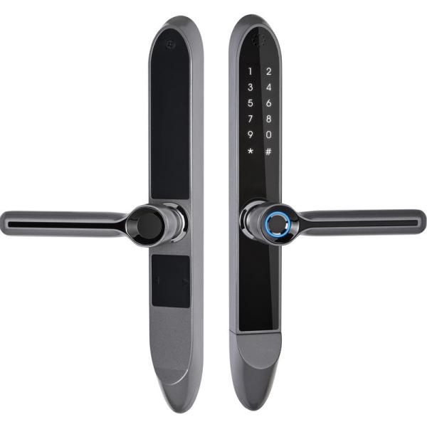 Quality IP65 Antifreezing Aluminum Frame Fingerprint Glass Door Smart Lock for sale