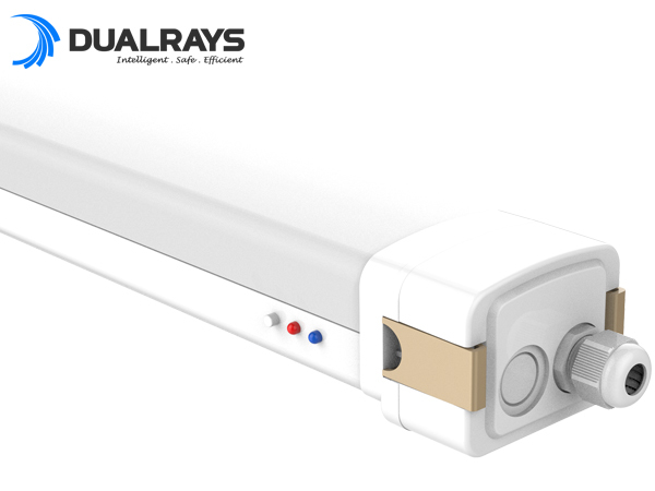 Quality DUALRAYS D5 LED Moisture-proof Light with DIP Switchable Power/3CCT and wiring for sale