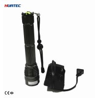 Quality Power Saving Handheld Ultraviolet Light , Led Uv Light Torch Build In Battery for sale