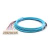 china LC UPC 12 Cores PVC Bundle Fan Out Fiber Optic Pigtail Multimode OM3 Aqua Jacket