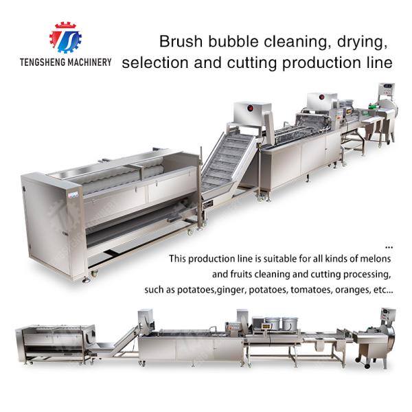 Quality Brush bubble cleaning, drying, selection and cutting production line Revolutioni for sale