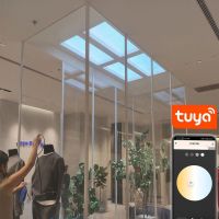 Quality Natural Illumination High-Efficiency LED Skylight Panel for Seamless Daylight Simulation and Enhanced Ambiance for sale