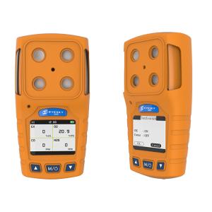 Quality Iso9001 Certified Portable Multi Gas Analyzer For Ex H2S O2 Co for sale