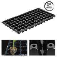 Quality 105 Cell Seedling Starter Tray for Germination Practical Multi Cell Plant for sale