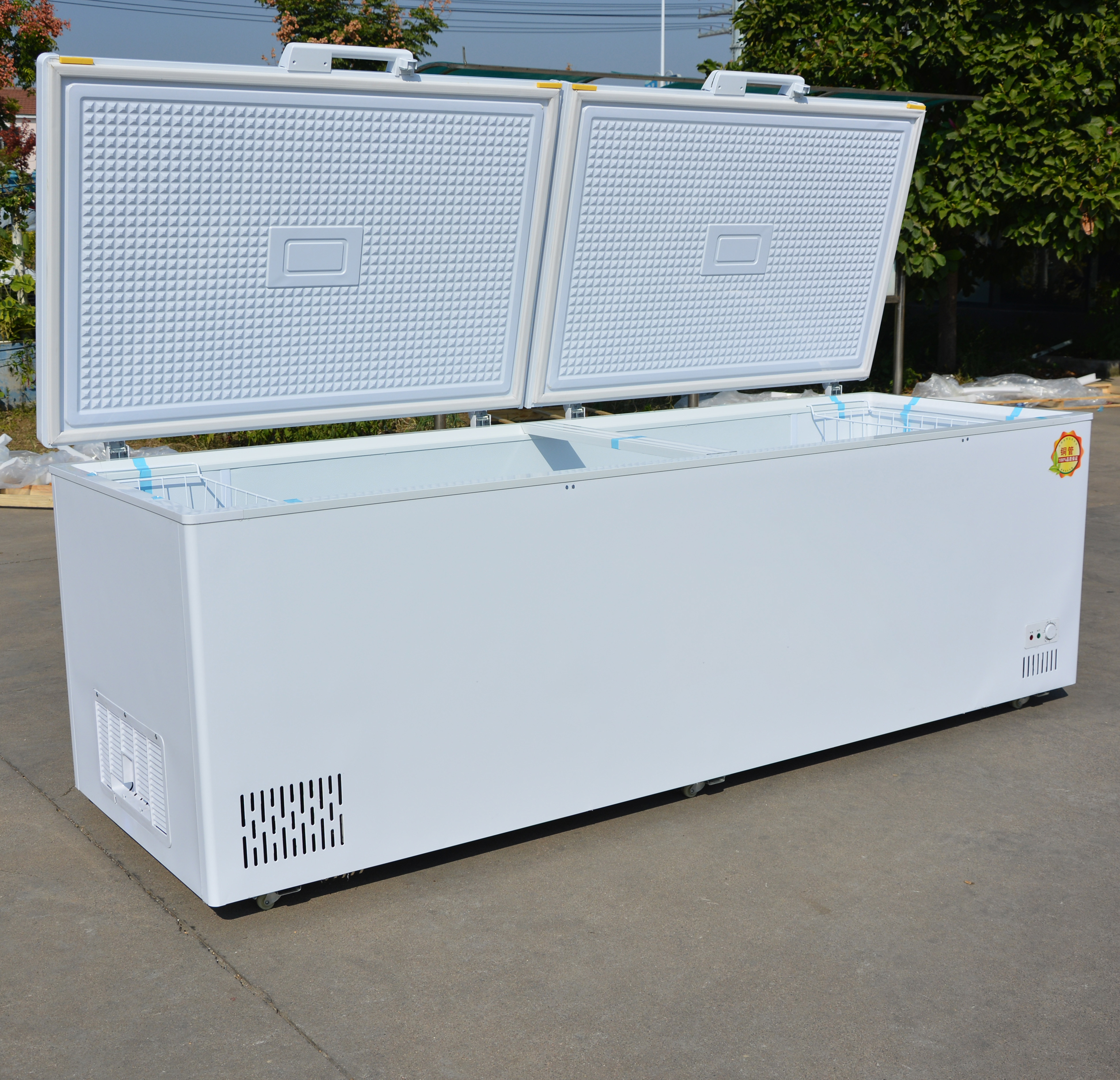 Quality Customer Country Standard Plug Large Capacity Horizontal Double Door Chest for sale