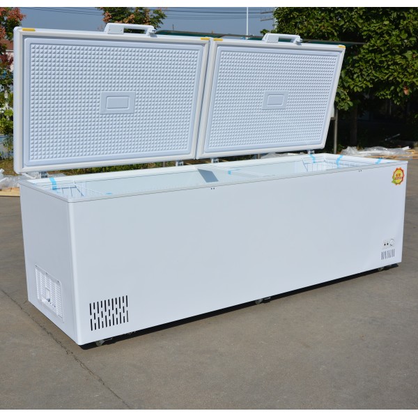 Quality Customer Country Standard Plug Large Capacity Horizontal Double Door Chest Freezer for sale