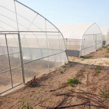 Quality Agricultural Singlespan Tunnel Plastic Film Tropical Greenhouse for sale