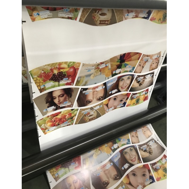 Luxury Paper Bag Flexo Printing Machine