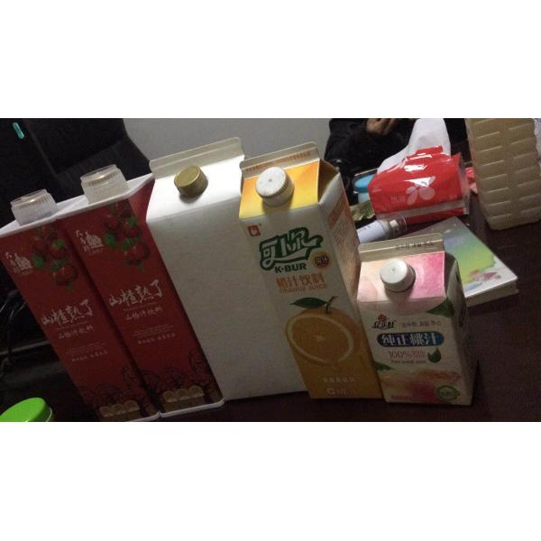 Quality Semi Auto Gable Top Packaging Machine Carton Filling DH 1200 Roof Top for sale
