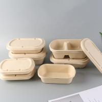 Quality Leak Proof Sugarcane Fiber Pulp Disposable Food Container Biodegradable for sale