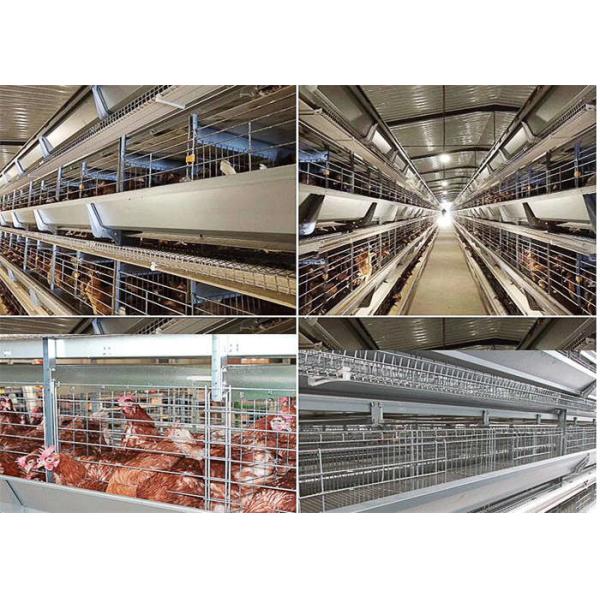 Quality 3/4 Tiers A Type Layer Chicken Cage Q235 Layer Hen Cages With Automatic Drinking for sale