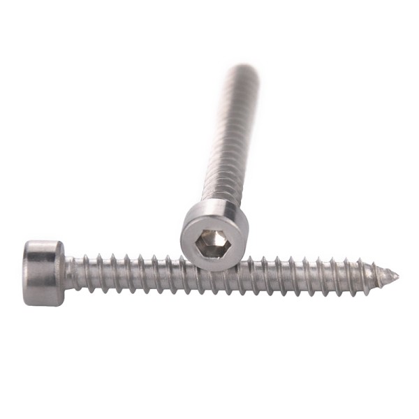 Quality Cylindrical Head Hex Slot Self tapping screws for sale
