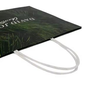Quality Custom J Cut Paper Bag Recyclable Clothing Kraft Paper Bag With Twisted Handle for sale