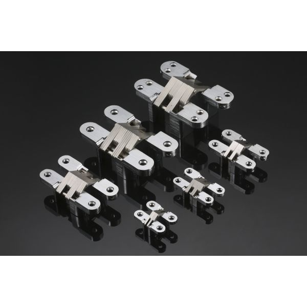 Quality Interior Adjustable Mortise Mount Invisible Hinge Waterproof Stainless Steel for sale