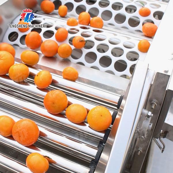 Quality Fruit Orange Vegetable Saiko persimmon lemon tangerine passion fruit avocado for sale