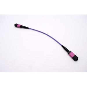 Quality MTP MPO cable , MTP MPO Patch Cable 12 fiber OM3 OM4 50/125um Plenum Rated 40G for sale