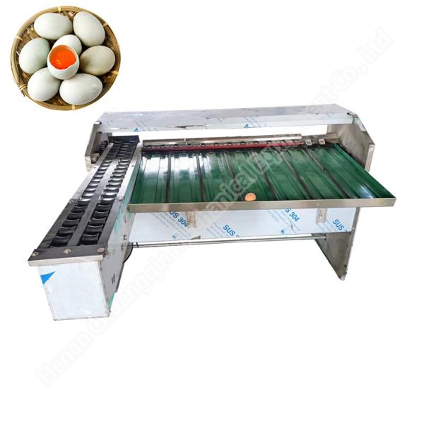 Quality Commercial Small Scale Egg Processing Machine Grader Weight Sorting Line for sale