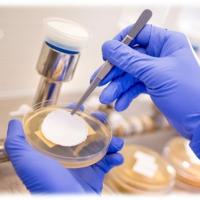 Quality Non Sterile Hydrophilic Nylon Membrane Filter For HPLC Sample Preparation for sale