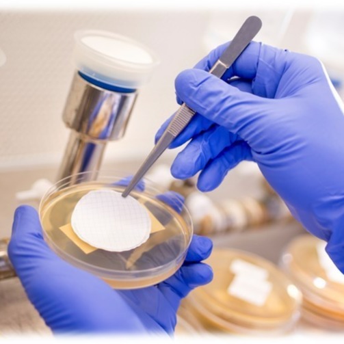 Quality Non Sterile Hydrophilic Nylon Membrane Filter For HPLC Sample Preparation for sale