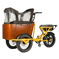 Quality NO Foldable Three Wheel Cargo Tricycle E-bike for Food Delivery and Carrying for sale