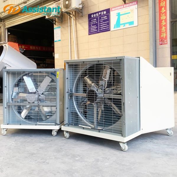 Quality High Power Tea Withering Machine DL-6CWD-890 for Tea Leaf Raw Material for sale