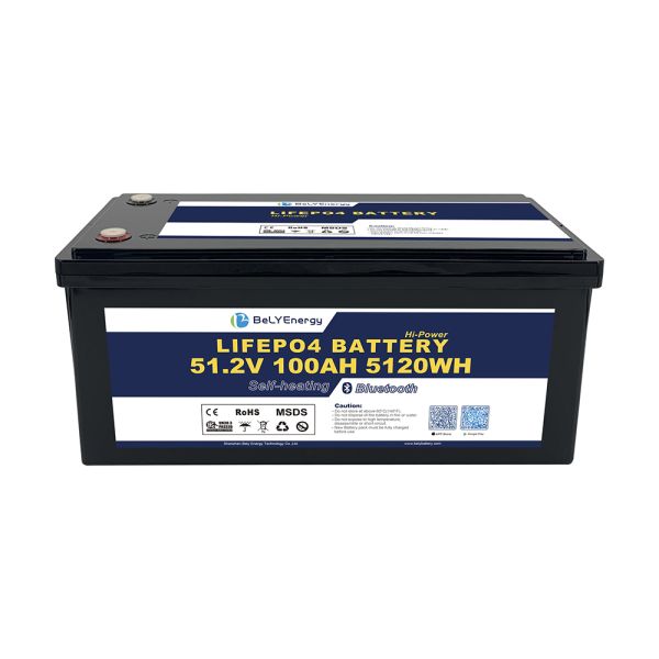 Quality 48V LiFePO4 Battery Pack - 5120Wh, 100A Discharge, IP65 Enclosure for sale