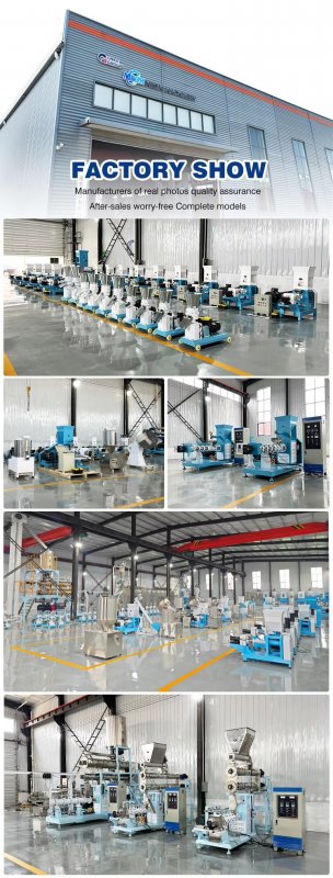 Twin screw extruder machine in operation