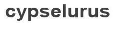 China Beijing cypselurus Technology Co., Ltd logo