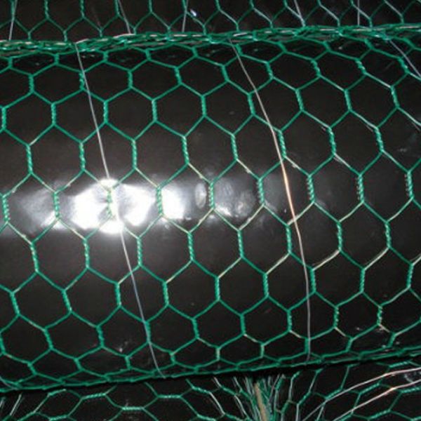 Quality Pvc Coated Or Galvanized Hexagonal Chicken Wire Mesh For Poultry for sale