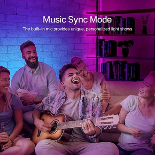 Quality Music Sync Voice Control LED Strip Lights Color Changing Timing App Controlled for sale
